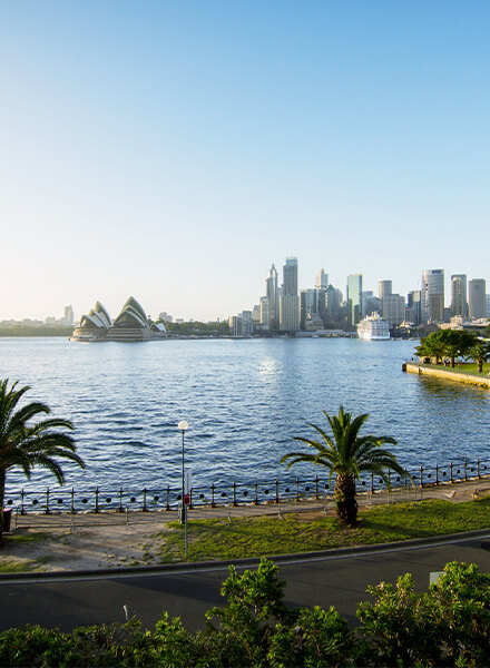 Tool: Bowler Chart Template