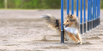 Gartner Data & Analytics Summit 2022 Sydney: Day 2 Highlights