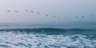 2022 Planning Guide for IT Operations and Cloud Management