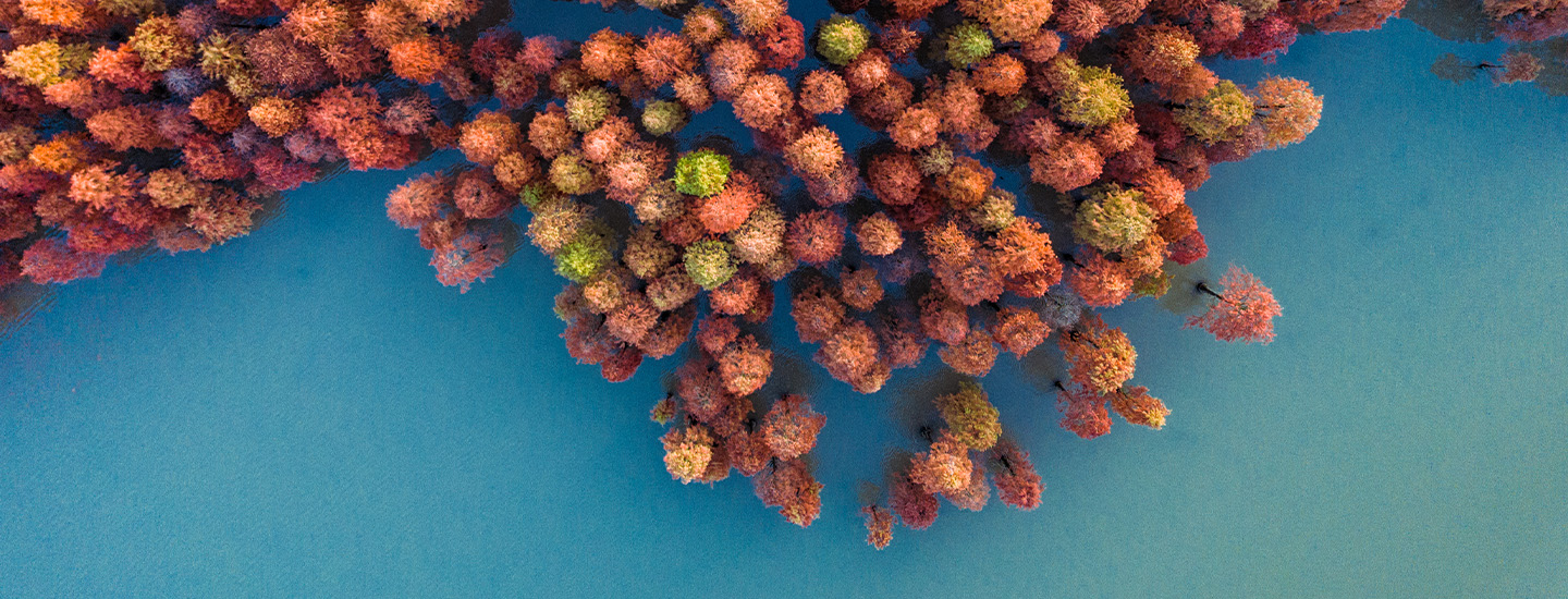 Evanta: CISO Southern California