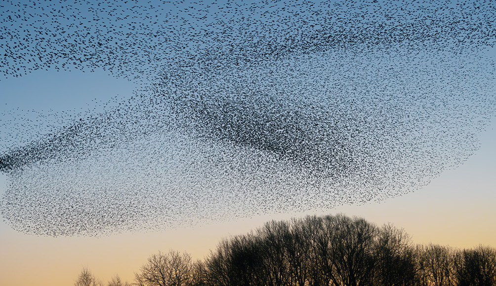 Evanta Ciso Middle East