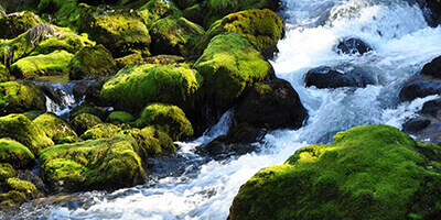 Enterprise Architects Role in Digital Transformation | Gartner